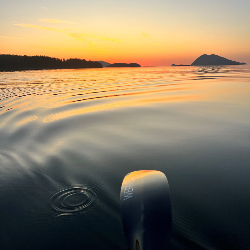 Werner Paddles | Ultimate Paddle Performance